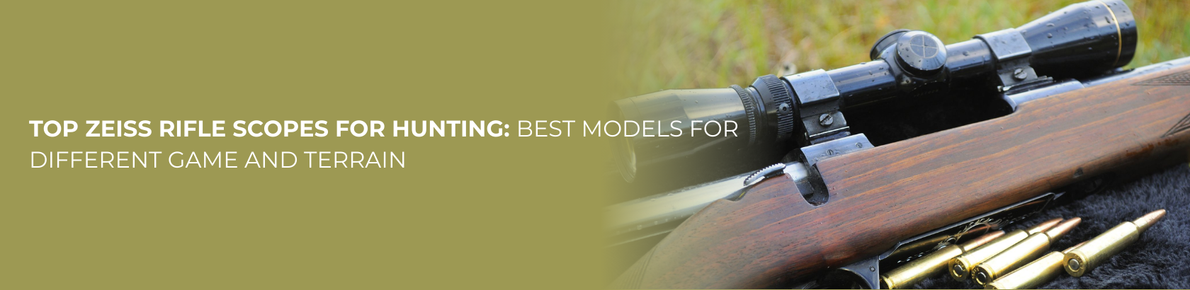 Top Zeiss Rifle Scopes For Hunting: Best Models For Different Game And ...