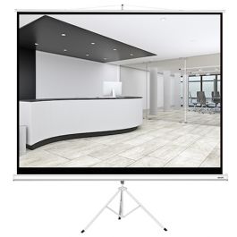Deli E50491 Portable Projector Screen - 100 Inch, 4:3