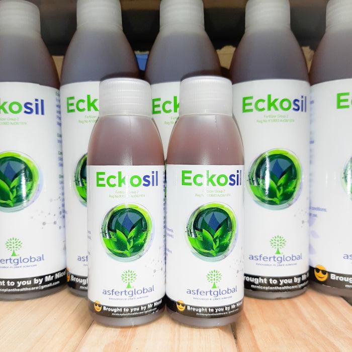 Eckosil Silicon Supplement - 250ml