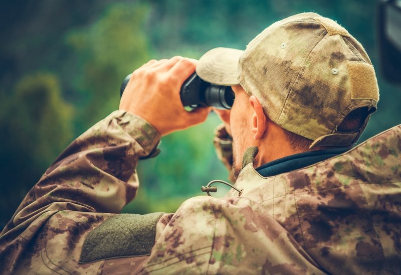 Explore The Unseen With Our Thermal Vision Solutions