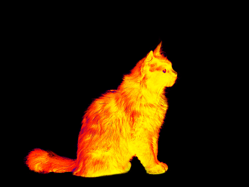 Vetting Thermal Vision Technology